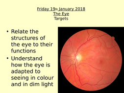 Eye lessons for AQA Biology GCSE | Teaching Resources