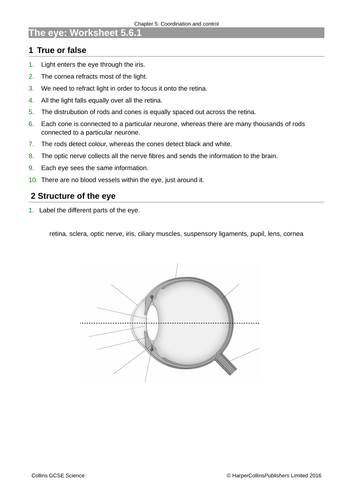 Eye lessons for AQA Biology GCSE | Teaching Resources