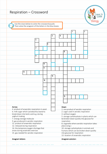 Aerobic and anaerobic respiration - Crossword (KS4) | Teaching Resources