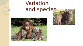 Variation and Species | Teaching Resources