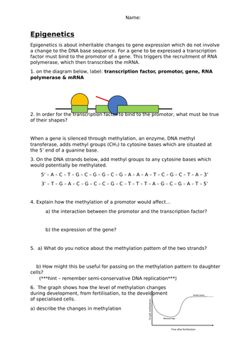 Epigenetics - Methylation - A Level Biology Presentation, two-sided ...