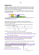 Epigenetics - Methylation - A Level Biology Presentation, two-sided ...