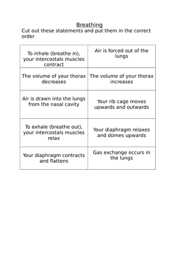 Breathing | Teaching Resources