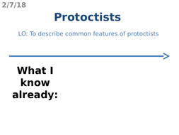 Protoctists | Teaching Resources