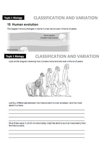 Cb4a Evidence for Human Evolution | Teaching Resources Cb4a Evidence for Human Evolution | Teaching Resources