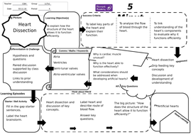 GCSE Biology Heart dissection | Teaching Resources