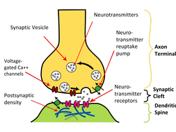 Drug Treatments / Therapies Lesson | Teaching Resources