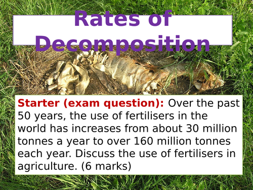 cB9 Rates of Decomposition (Separate Science) | Teaching Resources