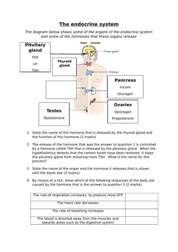 OCR Gateway A GCSE Biology B3 (Organism-level systems) REVISION | Teaching Resources