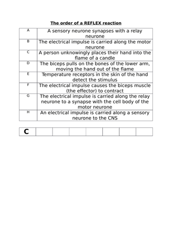 OCR Gateway A GCSE Biology B3 (Organism-level systems) REVISION | Teaching Resources