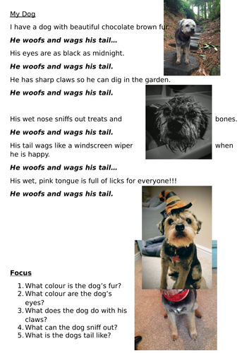 Pet Poems plus extra guided reading and grammar sheets | Teaching Resources