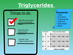 AQA A-Level Biology triglycerides lesson | Teaching Resources