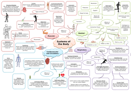 Systems of the Body Revision Mind-map | Teaching Resources