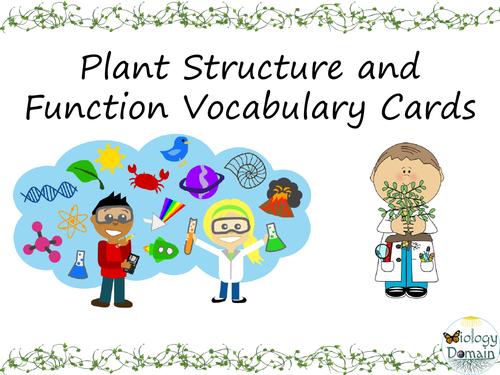 Plant Structure and Function Word Wall Vocabulary Cards | Teaching ...