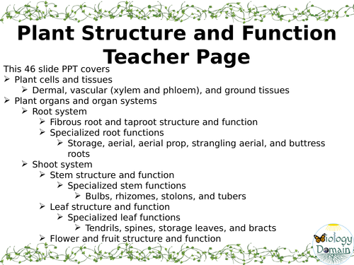 Plant Structure and Function Powerpoint Slide Show | Teaching Resources