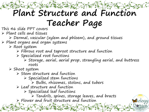 Plant Structure and Function Powerpoint Slide Show | Teaching Resources