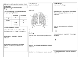 Exploring Science 8C Breathing and Respiration Revision Sheet (2018) by ...