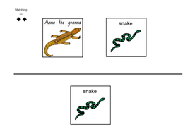 Snakes: Aboriginal poem and activities | Teaching Resources