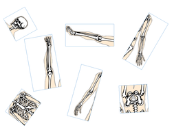 KS3 Skeleton | Teaching Resources