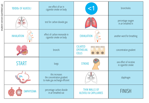 Respiratory System - Loop Game (KS4) | Teaching Resources