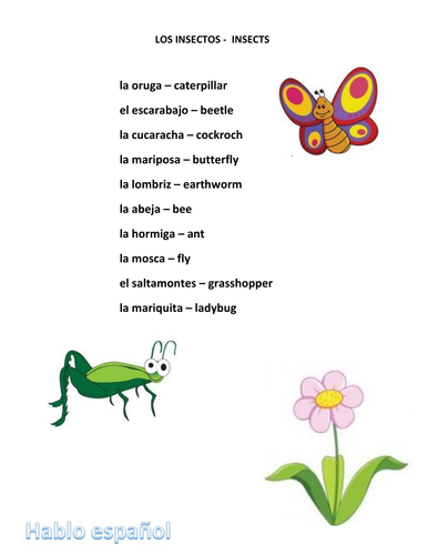Spanish Spelling Worksheet Insectos Insects 17pages of fun Crossword ...