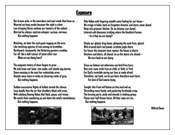Exposure - Wilfred Owen | Teaching Resources