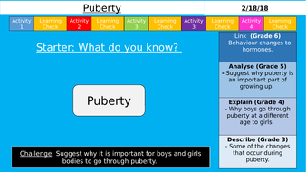 AQA NEW KS3 - Puberty (Reproduction) | Teaching Resources