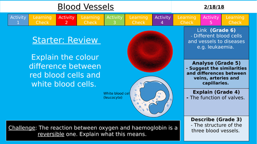 NEW AQA GCSE (9-1) - Blood Vessels (Organisation) | Teaching Resources
