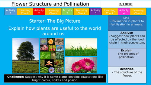 NEW AQA KS3 - Flower Structure and Pollination | Teaching Resources