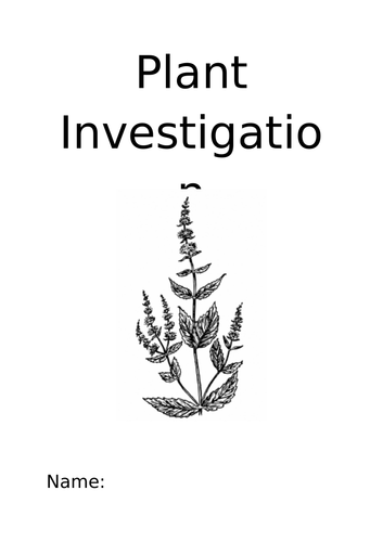Plant Investigation Booklet | Teaching Resources