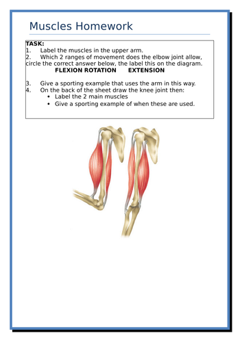 New OCR GCSE PE - 1.1.b Complete Teacher Pack (Muscular System ...