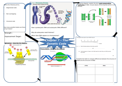 A-Level Biology Revision Maps | Teaching Resources