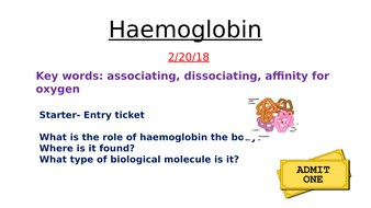 Haemoglobin, oxygen dissociation and Bohr effect | Teaching Resources