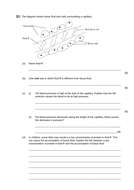 Tissue fluid formation AQA Biology A level | Teaching Resources