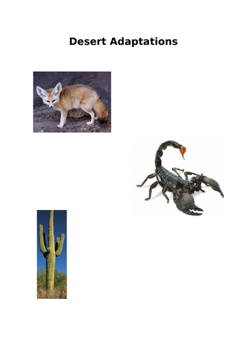 Hot Deserts Characteristics Lesson | Teaching Resources Hot Deserts Characteristics Lesson | Teaching Resources