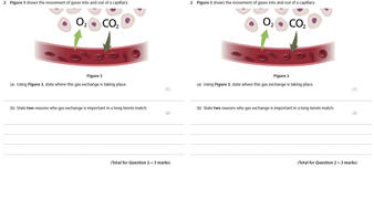 GCSE PE- gas exchange | Teaching Resources
