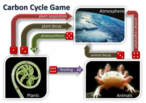 Carbon Cycle Game | Teaching Resources
