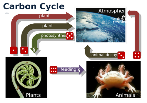 Carbon Cycle Game | Teaching Resources