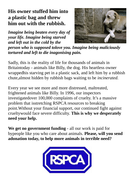 Persuasive techniques KS3 - Billy the dog RSPCA leaflet | Teaching ...