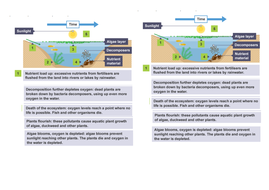 New spec KS4 AQA Biodiversity 4.7.3 (Biology & Trilogy) incl ...