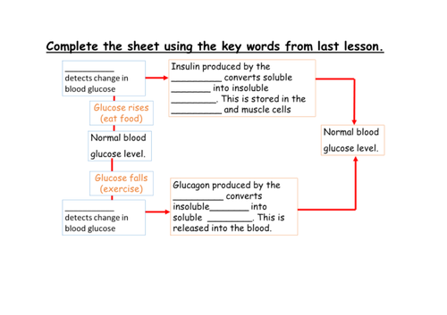 New spec AQA Blood glucose, diabetes and negative feedback | Teaching ...