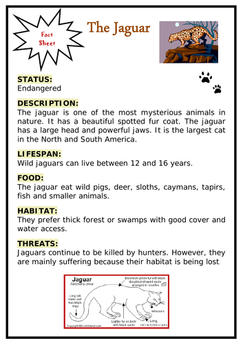 Exploring Endangered Animals - 5 resources | Teaching Resources