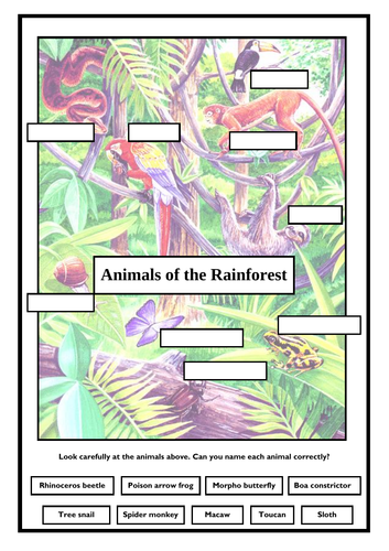 Exploring Endangered Animals - 5 resources | Teaching Resources