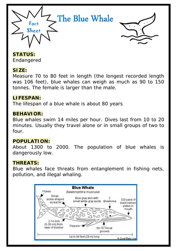 Exploring Endangered Animals - 5 resources | Teaching Resources