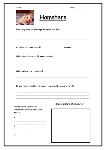 Hamsters - Non Fiction Activity | Teaching Resources