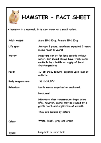 Hamsters - Non Fiction Activity | Teaching Resources