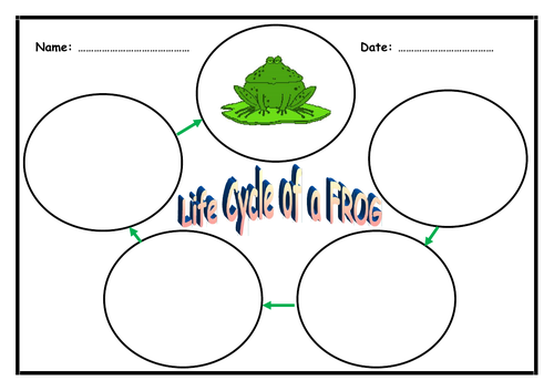 Life Cycle of a Frog - 3 page booklet | Teaching Resources