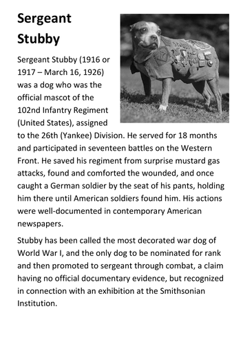 Sergeant Stubby Handout | Teaching Resources