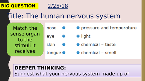AQA new specification-B10 The human nervous system-Combined/Additional ...