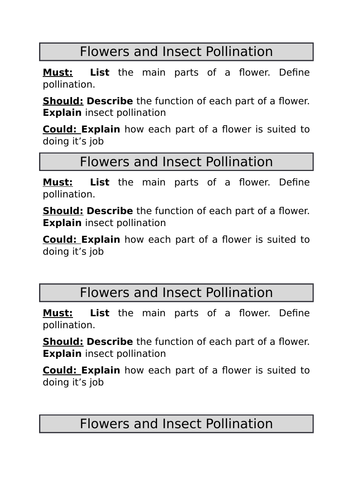 flowers and insect pollination | Teaching Resources